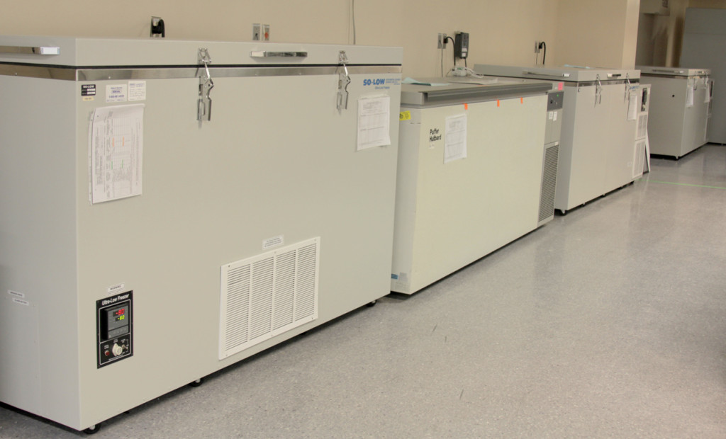 Cryostorage – CRLB-GMEL